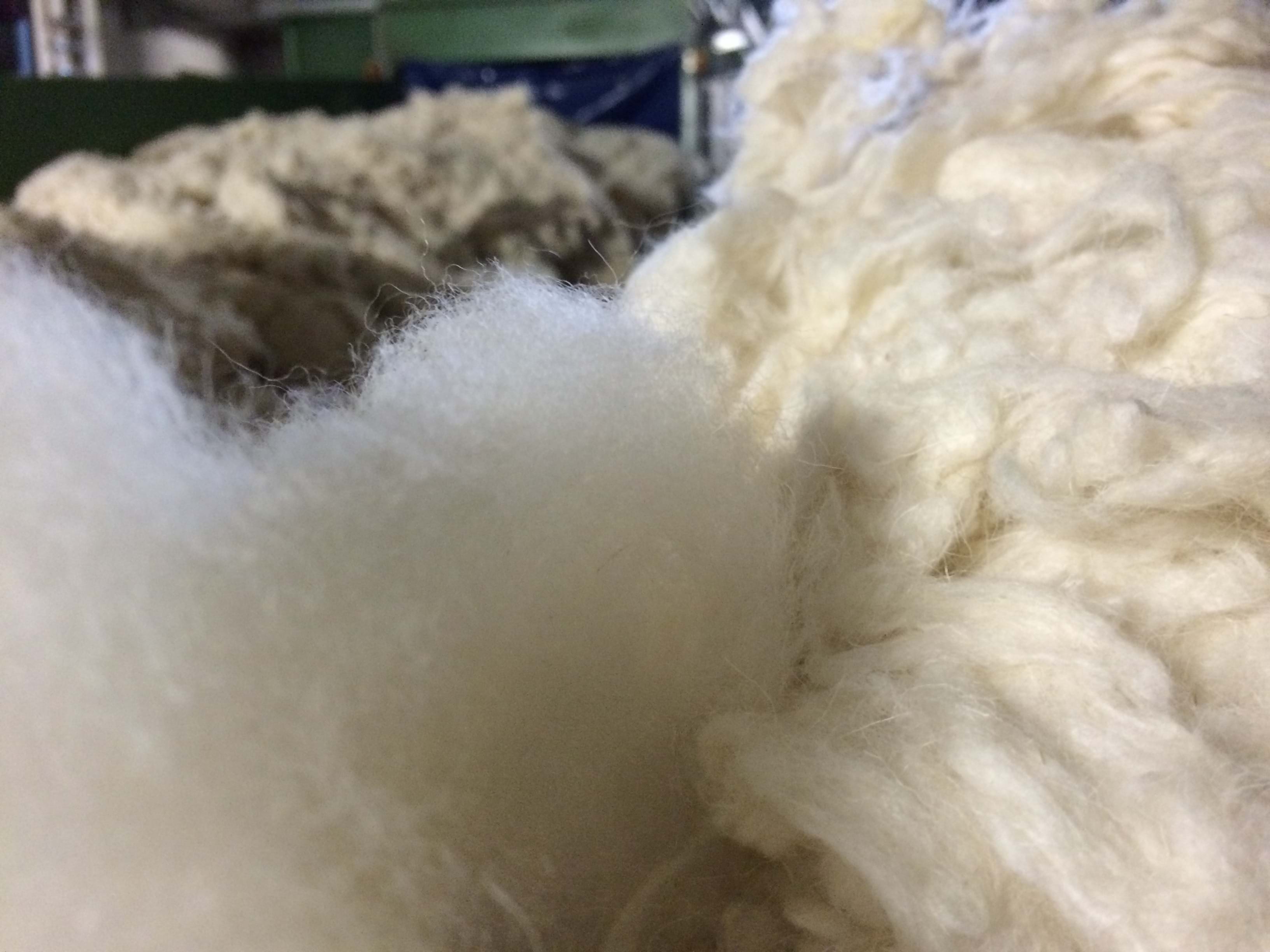 Felt production photos. The wool is carded, processed and fulled